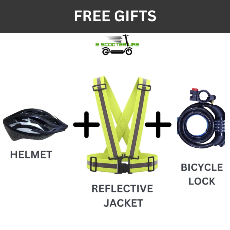 Winner Sky E10 Pro 36V adults electric scooter (PLUS)